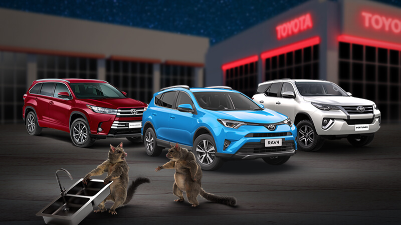New Cars, Trucks, SUVs & Hybrids - Toyota NZ